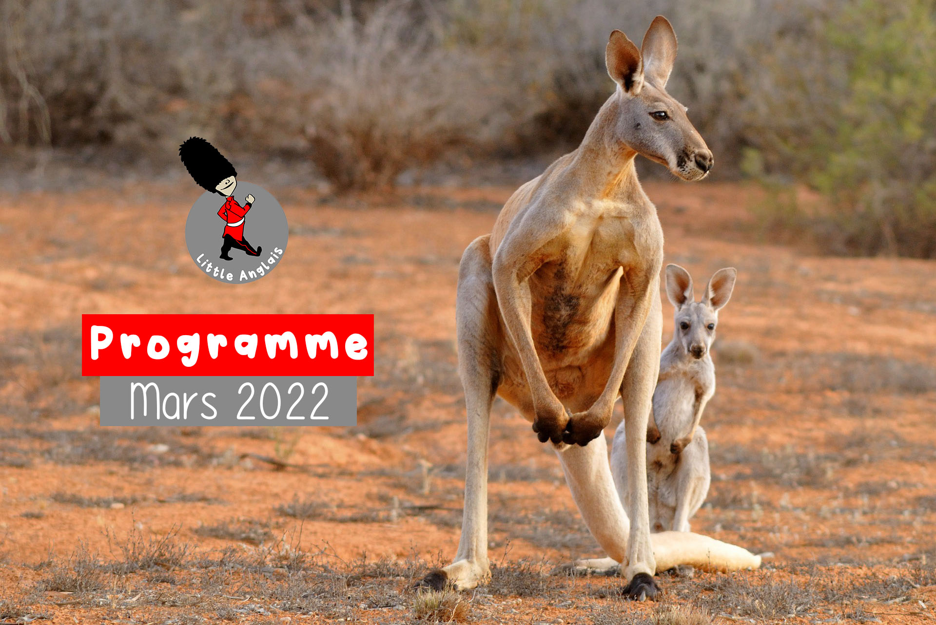 Programme Mars 2022 - Little Anglais